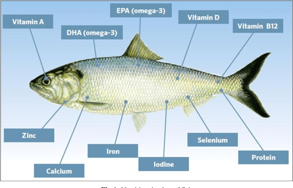 The Importance of Vitamins in Fish Nutrition | Faradaneh