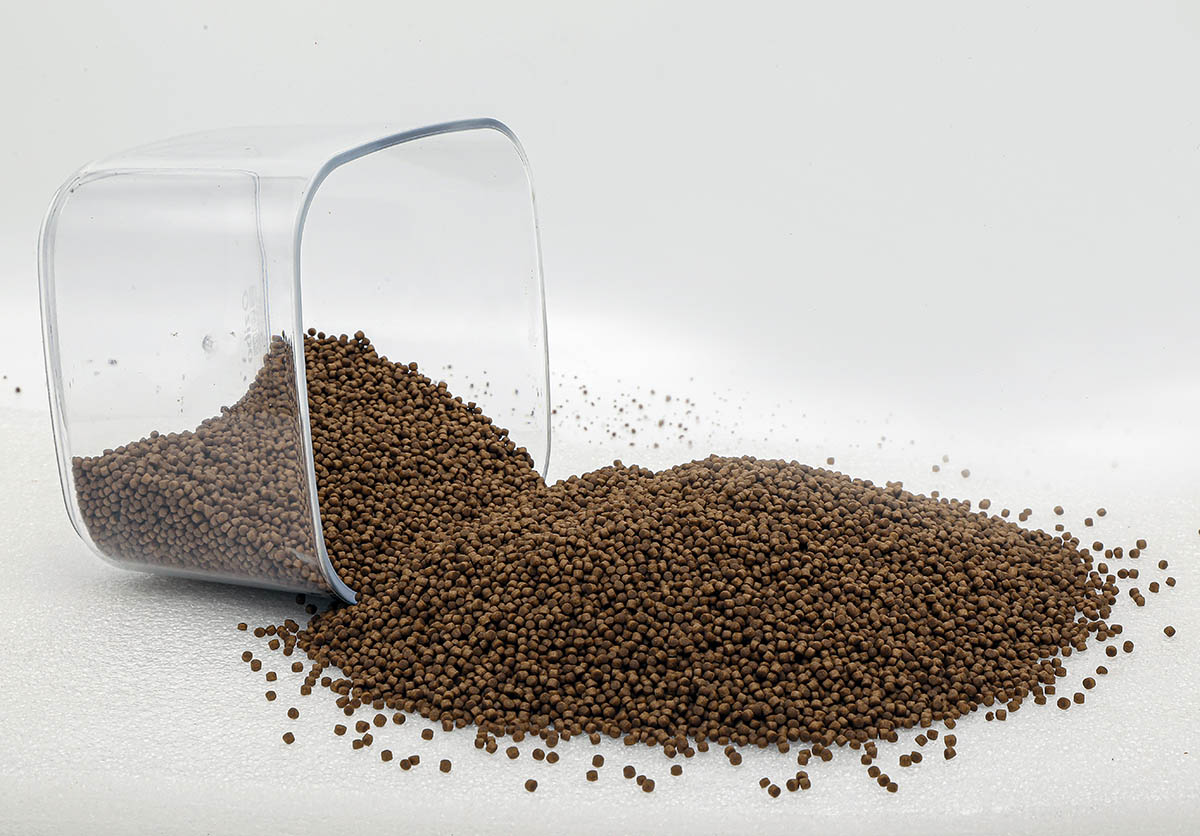 Starter Feed for Trout (SFT2) | Faradaneh