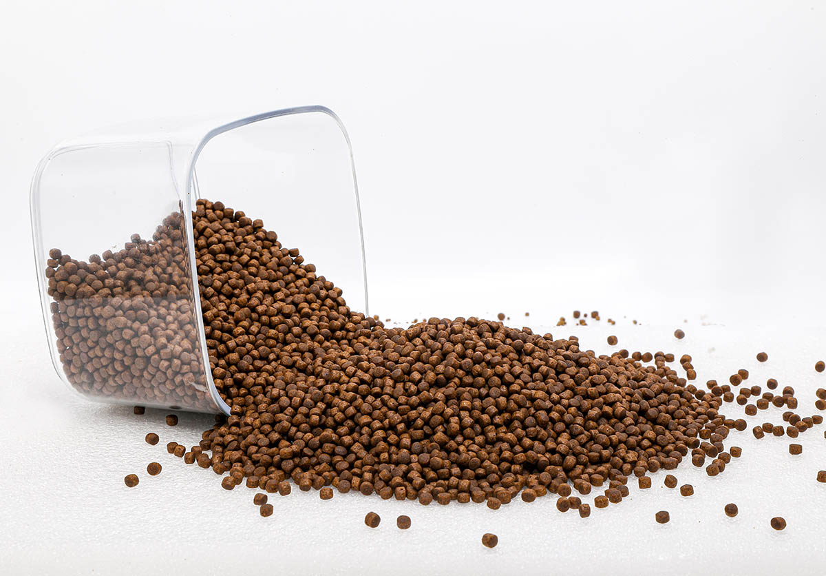 Fingerling Feed for Trout (FFT2) | Faradaneh