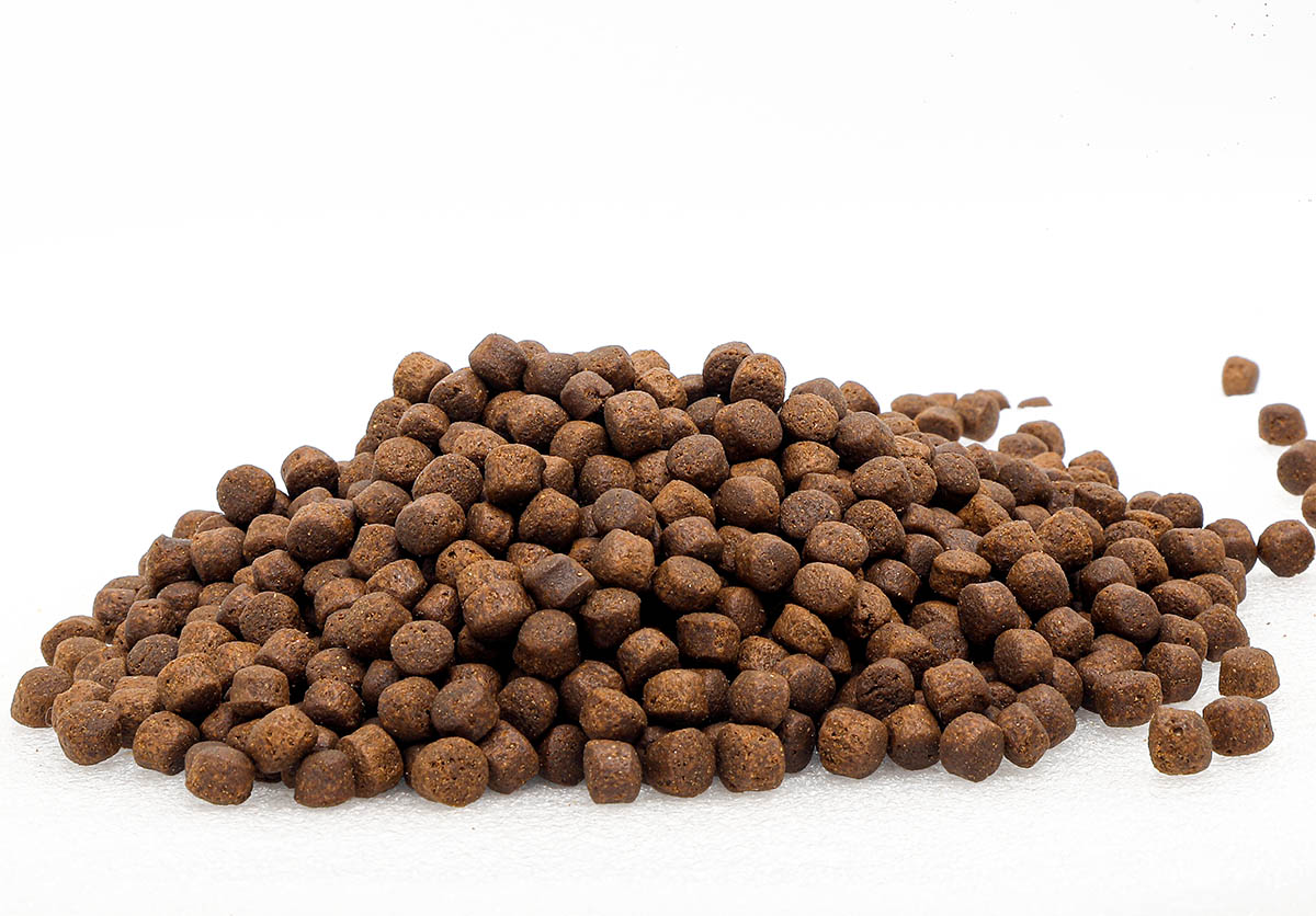 Grower Feed for Trout Pigmented (GFT4) | Faradaneh