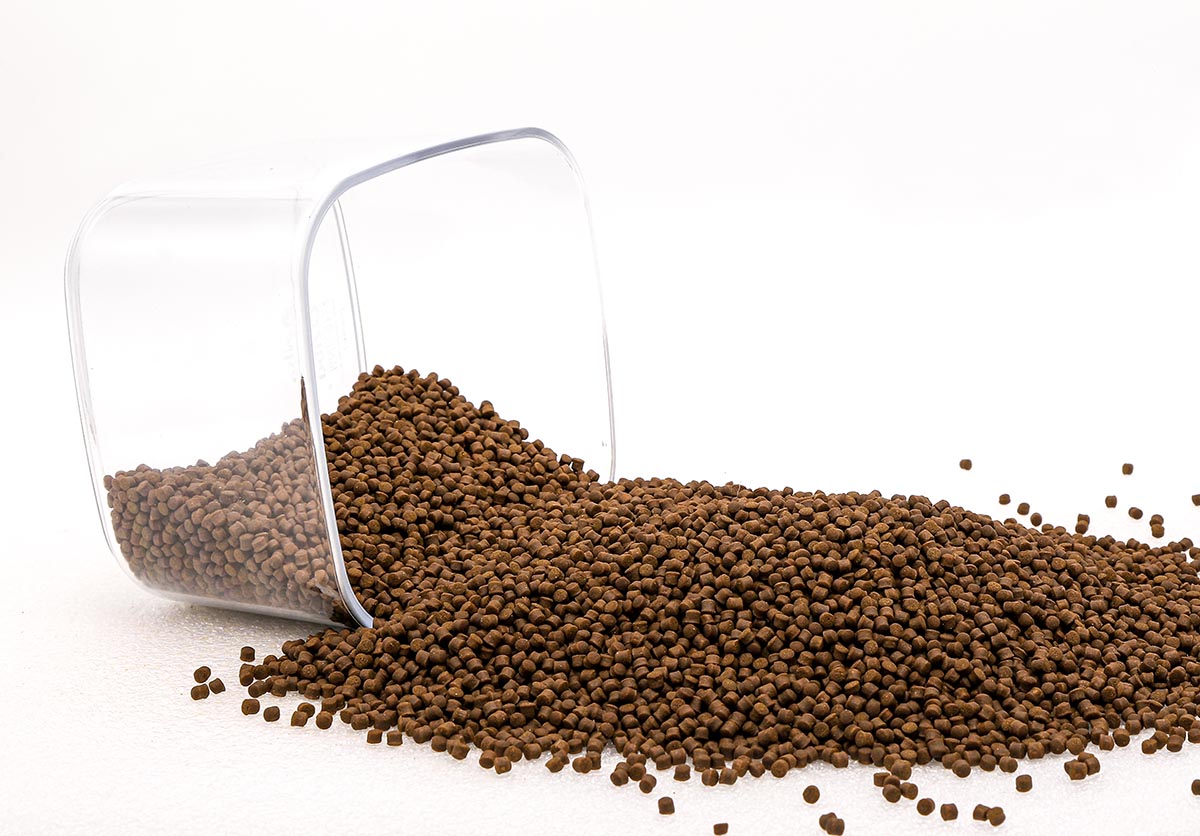 Fingerling Feed for Sturgeon (FFS2) | Faradaneh