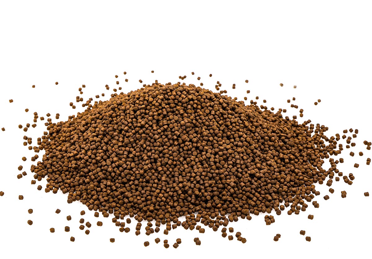 Grower Feed for Asian Sea Bass (Barramundi) (SB-304) | Faradaneh