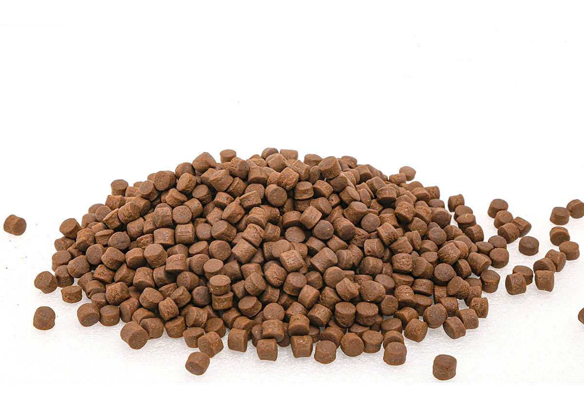 Grower Feed for Asian Sea Bass (Barramundi) (SB-310) | Faradaneh