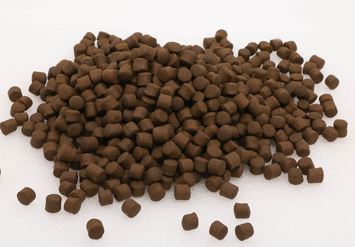 Broodstock Feed for Sturgeon (BFS1) | Faradaneh