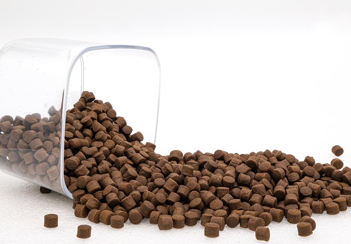 Grower Feed for Sturgeon (GFS3) - Economy | Faradaneh