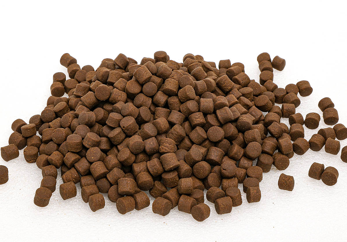 Grower Feed for Sturgeon (GFS4) - Premium | Faradaneh