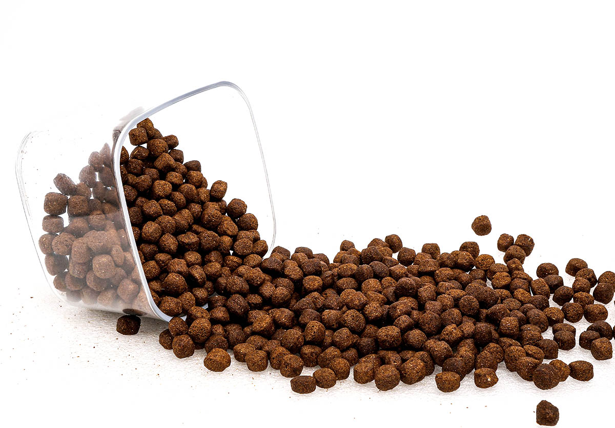 Grower Feed for Common Carp (GFC4 : Type C) | Faradaneh