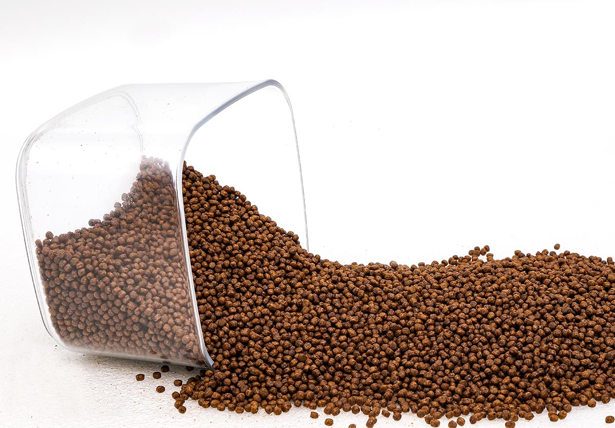 Juvenile Feed for Tilapia (JFTP) | Faradaneh