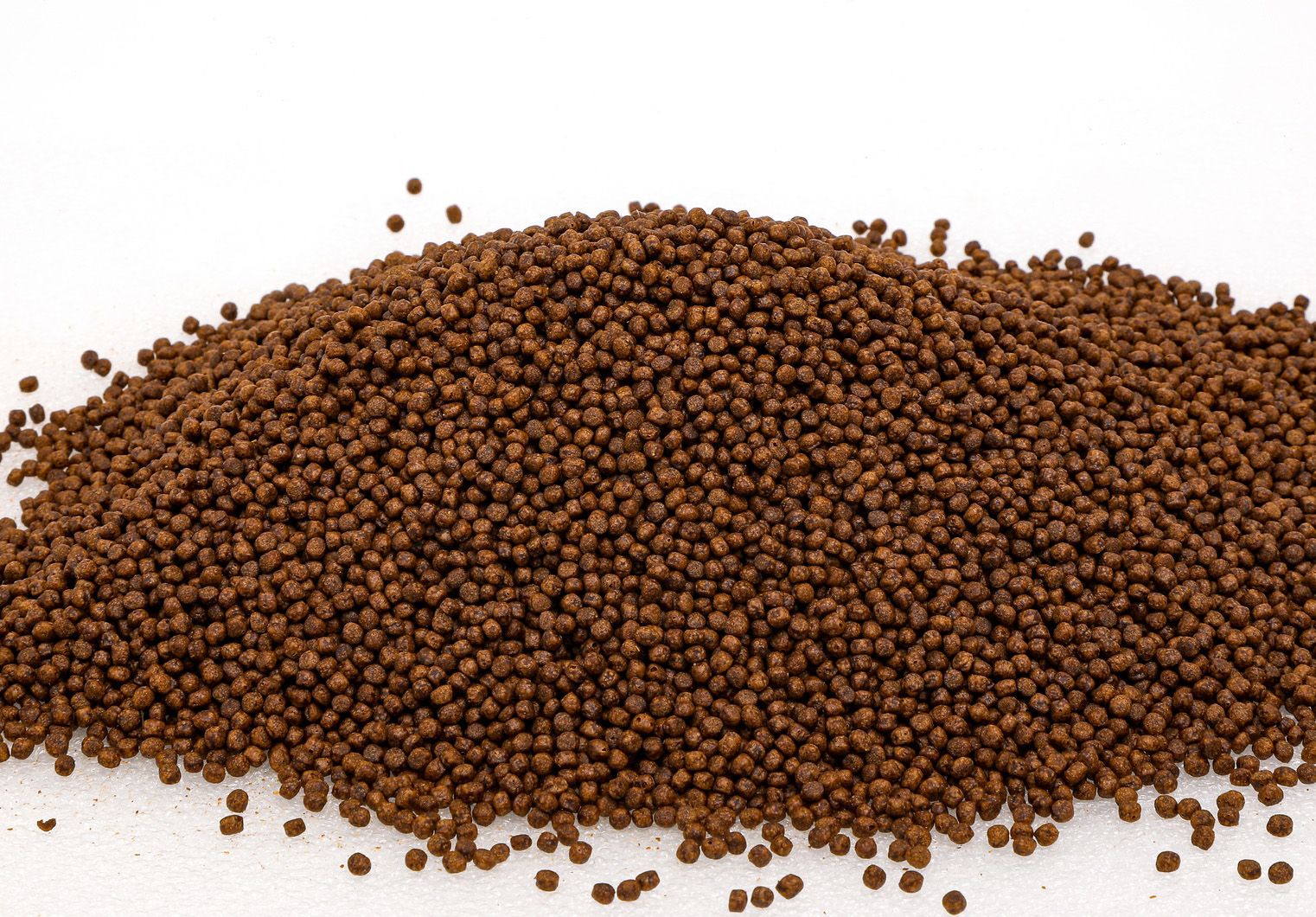 Fingerling Feed for Common Carp (FFC) | Faradaneh