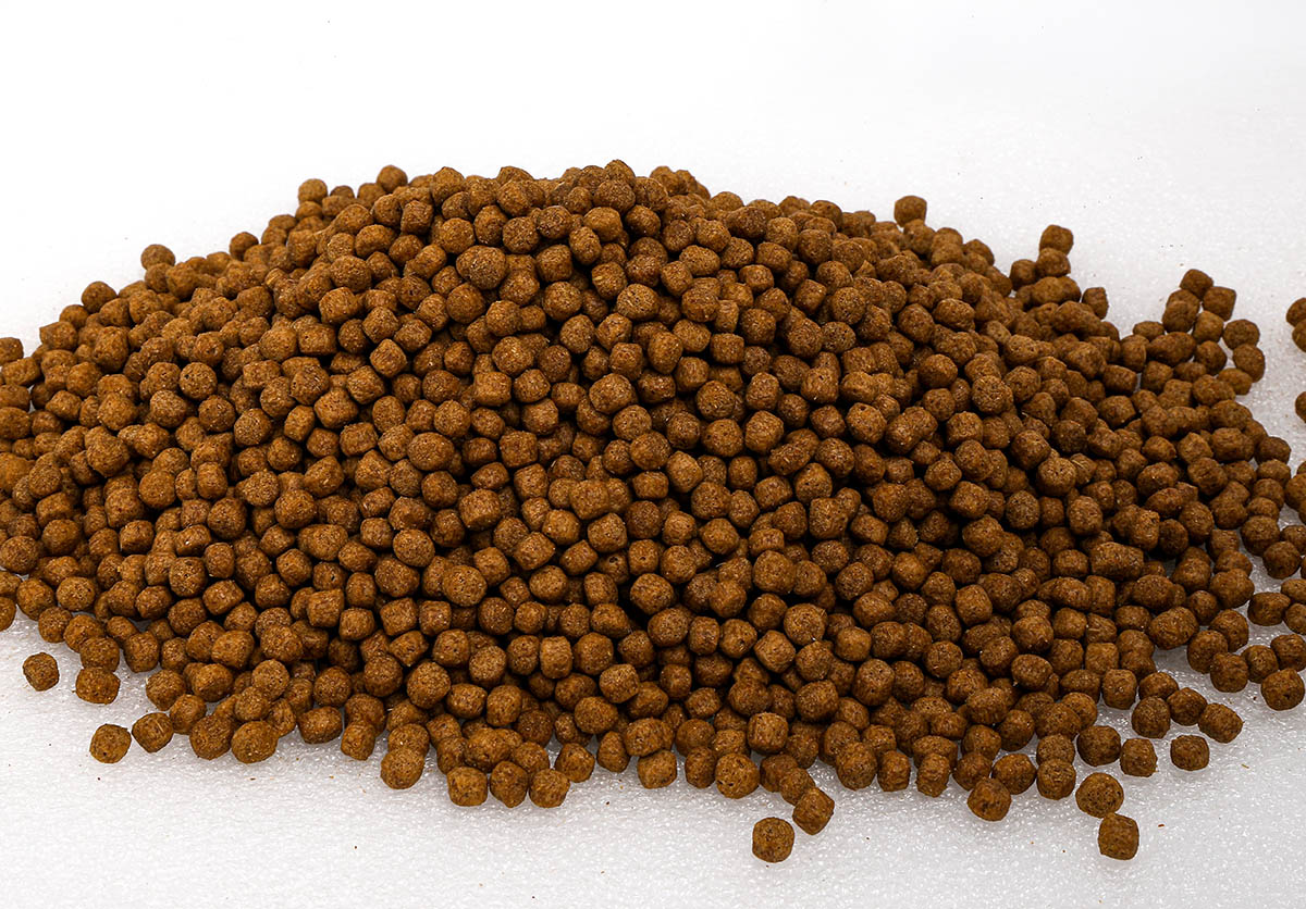 Grower Feed for Tilapia (GFTP2) | Faradaneh