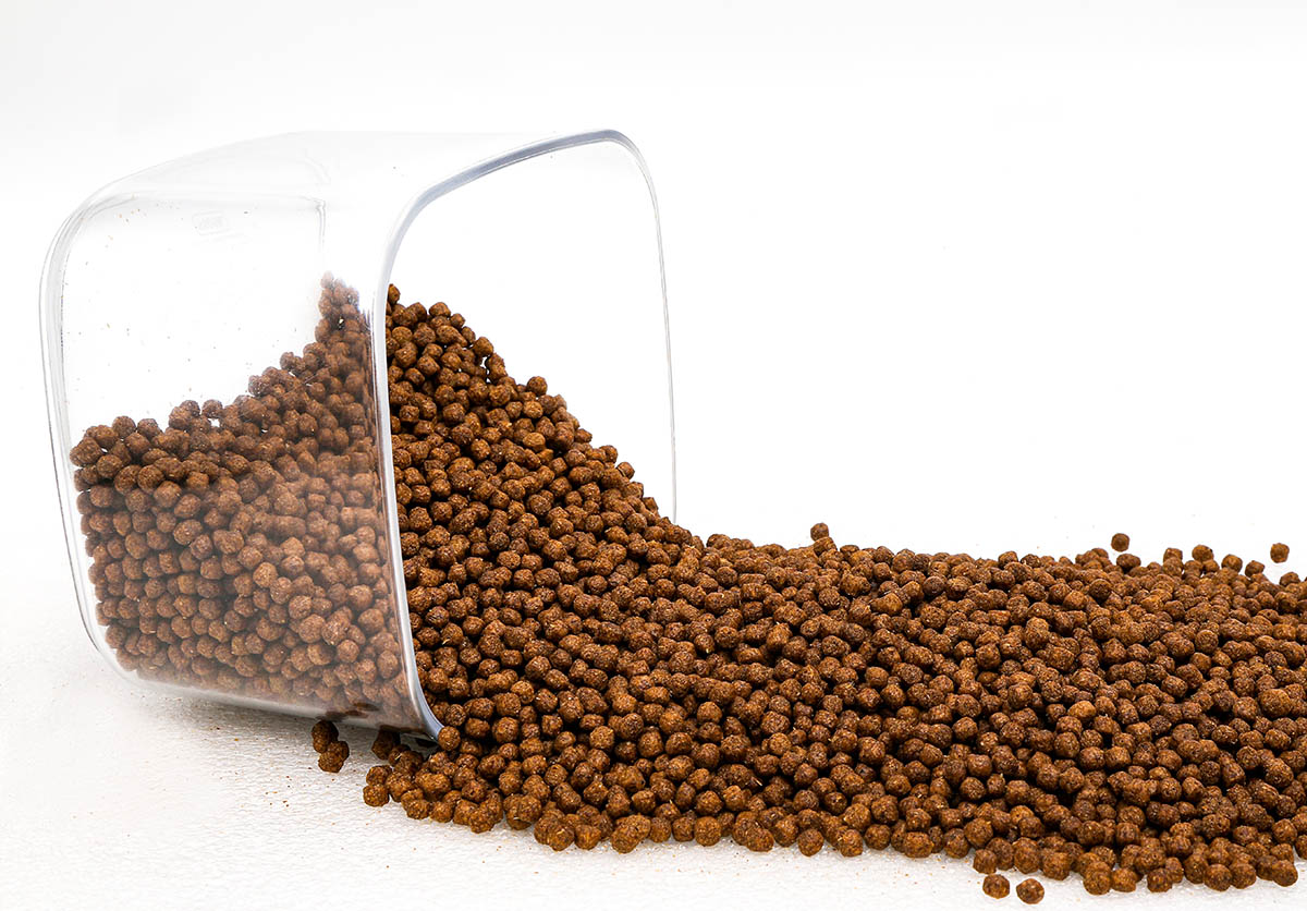 Grower Feed for Tilapia (GFTP1) | Faradaneh