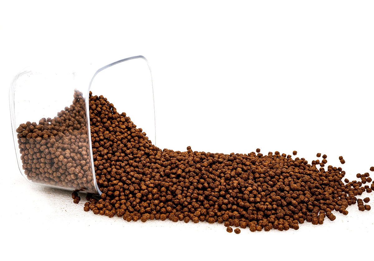 Grower Feed for Common Carp (GFC1 : Type A) | Faradaneh