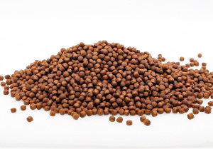 Grower Feed for Trout Premium (GFT2) | Faradaneh